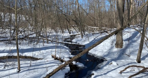Sugar Island, Michigan: A Nature Lover's Remote Paradise