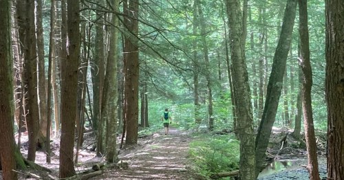 This PA Small Town Could Star in a Hallmark Movie