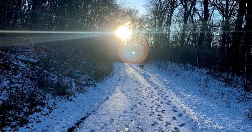 Discover Sabula Island: Iowa's Hidden Gem
