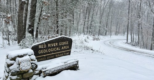 Experience Rail Biking in Kentucky with Rail Explorers USA