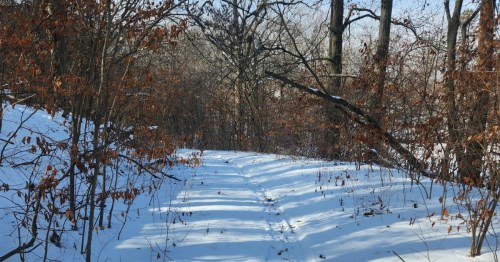 4 Legends Of Kansas Cryptids That Might Be Lurking Now