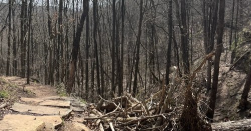 This Scenic Alabama Trail Is Even Better in the Winter