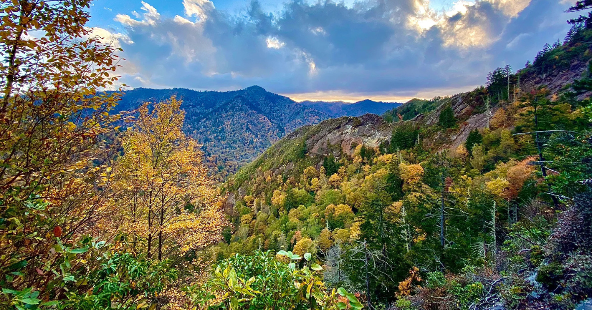 5 Bucket-List Tennessee Hikes with Stunning Views for Every Skill Level