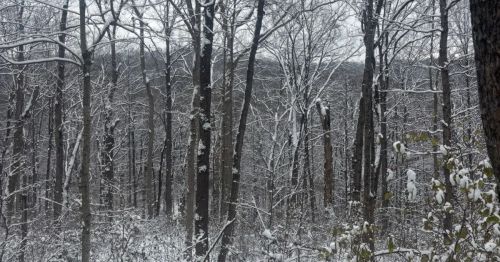 12 State Parks in Indiana: One for Each Month of 2026