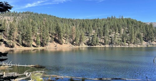 7 Scenic, Short Hikes in NorCal for Beginners
