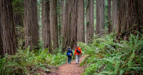 Best U.S. State Parks: 19 Must-See Destinations
