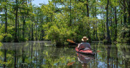 North Carolina Bucket List: 26 Things to Do in 2026