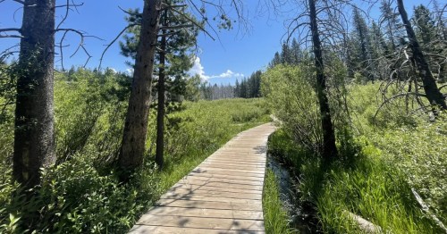 7 Scenic, Short Hikes in NorCal for Beginners