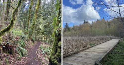 Start the New Year on the Right Foot (Literally) on This Washington Trail