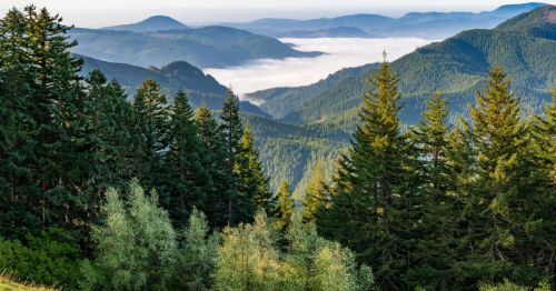 Best February Travel Destinations: 15 U.S. Spots to See