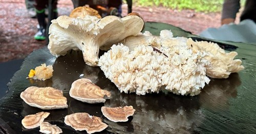 Wyntoon Is A Little-Known Hidden Castle In Northern California