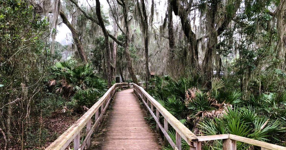 Discover This Little-Known Trail in Florida (The Views Are Epic!)