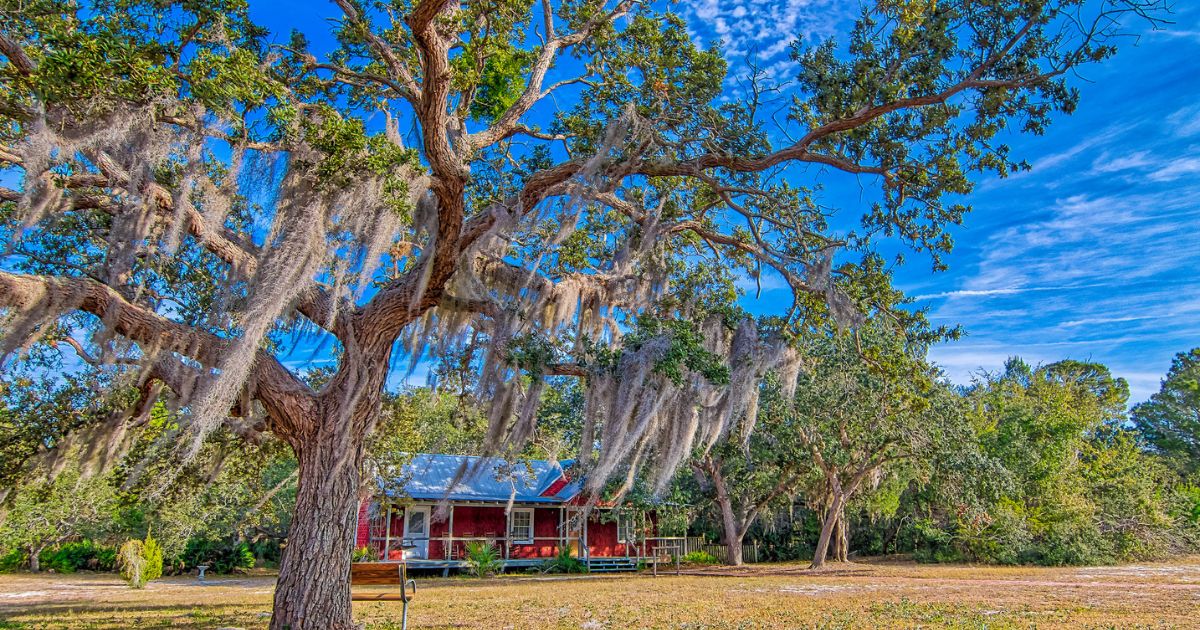 Cedar Key: An Enchanting and Historic Town in Florida to Visit