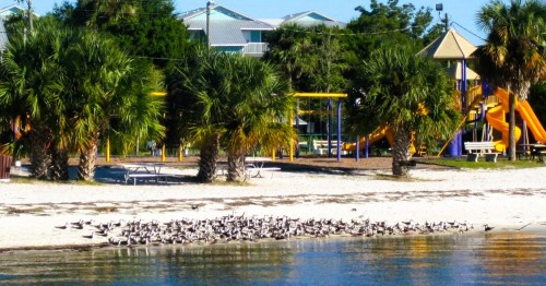 Cedar Key: An Enchanting and Historic Town in Florida to Visit