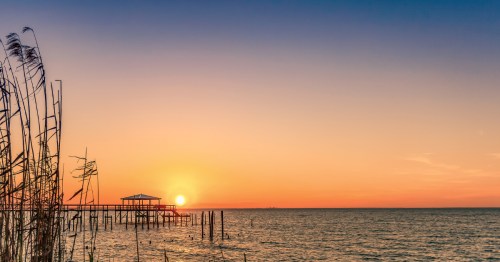 Slocomb, Alabama: Tomato Capital Of The World