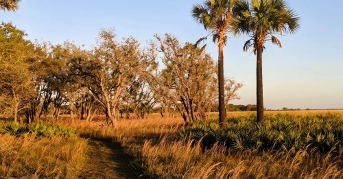 Best Natural Wonder in Florida to Explore