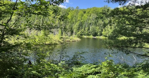 The Little Known Hiking Path in Wisconsin is Our Favorite First Hike of ...
