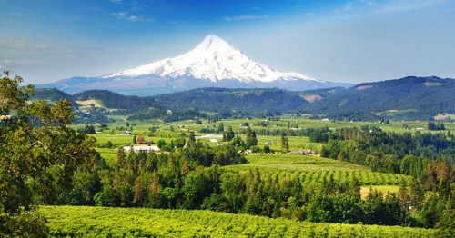 The Temple of Oculus Anubis: A Mysterious Spot in Oregon