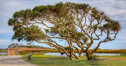 Fun Things To Do In Delta, Alabama