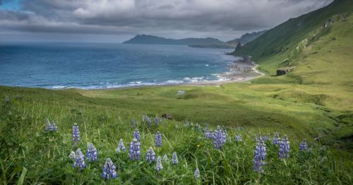 Islands in the U.S.: 22 Tropical Getaways to Visit