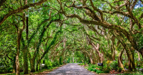 5 Impressively Scenic Small Towns in Alabama