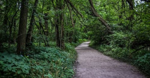 Indiana State Parks: 12 Beautiful Spots to Visit