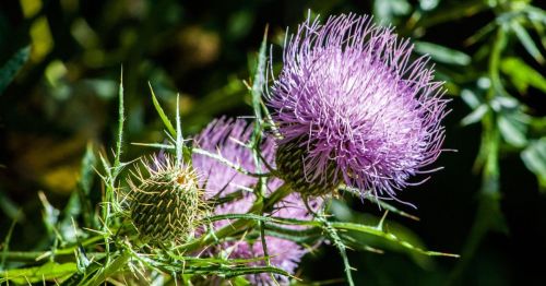 Indiana State Parks: 12 Beautiful Spots to Visit