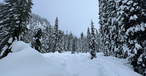 5 Best Snow Tubing Spots in Washington for Easy Winter Fun