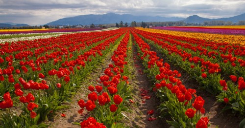 12 Delightful Rural Towns In Washington State