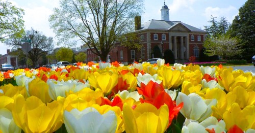 The 17 Best Day Trips In Delaware