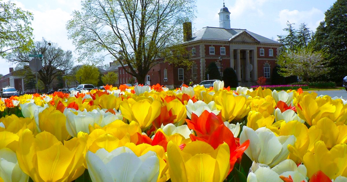 4 Most Colorful Places in Delaware to Visit (#3 Is Pure Beauty)