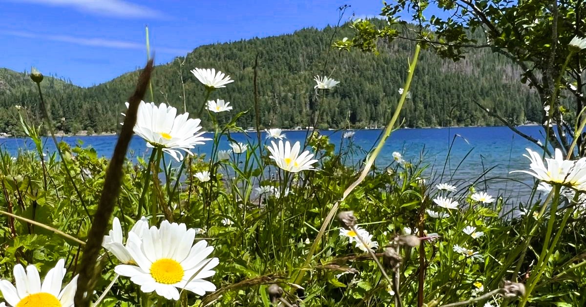 Best Wildflower Trail in Washington to Kick Off Spring