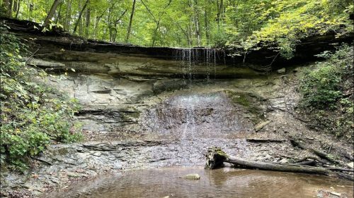 Best Waterfalls in Indiana: 12 Local Favorites to Explore