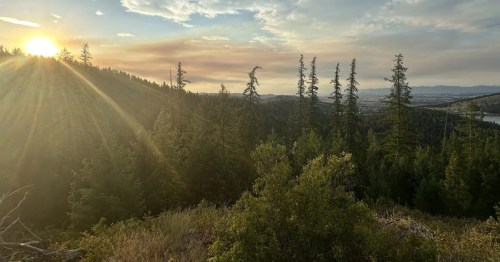 The 15 Best Things To Do In Montana In Spring