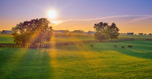 Best Places to Visit in Kentucky | Travel Guide 2026