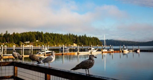 Locals Love This Under-the-Radar Washington Town (Here’s Why)