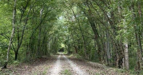 Here Are The Top 10 Best Scenic Drives In Alabama
