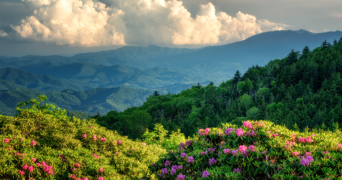 5 Picture-Perfect Nature Trails in Tennessee for Spring