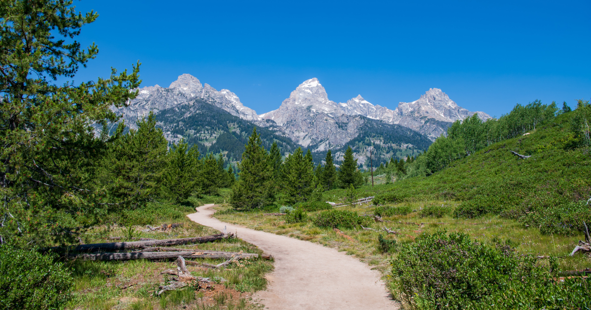 4 Picture-Perfect Nature Trails in Wyoming for Spring