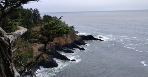 5 Picture-Perfect Nature Trails in Oregon for Spring