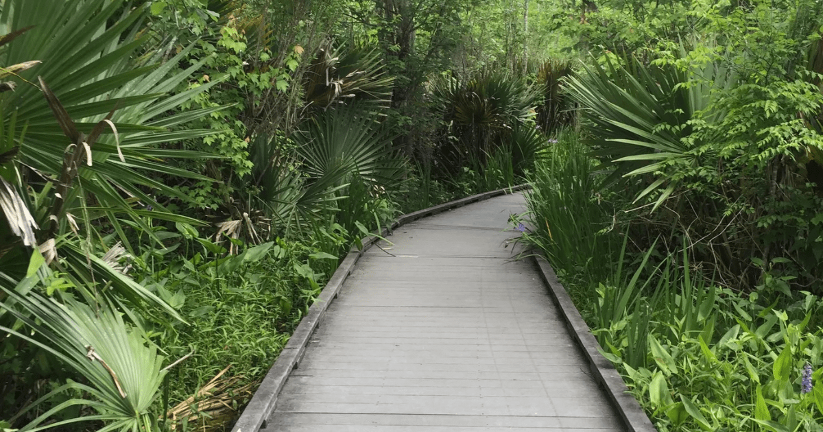 3 Hidden Spots You Didn’t Know Existed in Jean Lafitte National ...