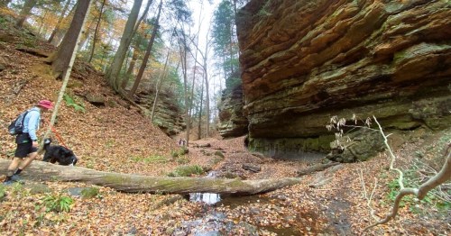 Shades State Park: Why This Underrated Indiana Park Is Better Than ...
