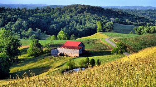 17 Serene Countryside Destinations In The USA Worth Escaping To