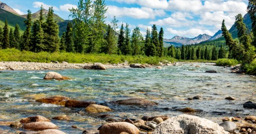 Quirky Hidden Town in Alaska You Need to Visit