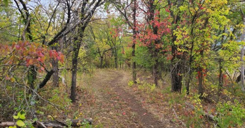 Why This Small-Town State Park in Kansas Is Worth a Visit