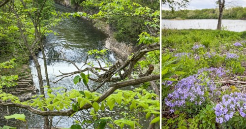Why This Small-Town State Park in Illinois Worth a Visit