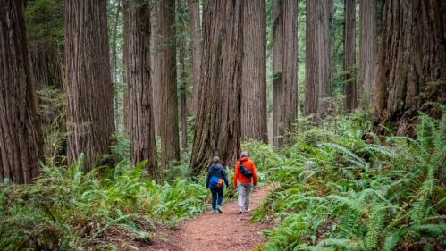 The Most Scenic State Parks in the United States
