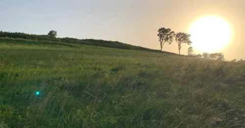 Why This Small-Town State Park in Kansas Is Worth a Visit