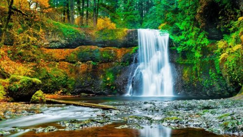 The Most Scenic State Parks in the United States