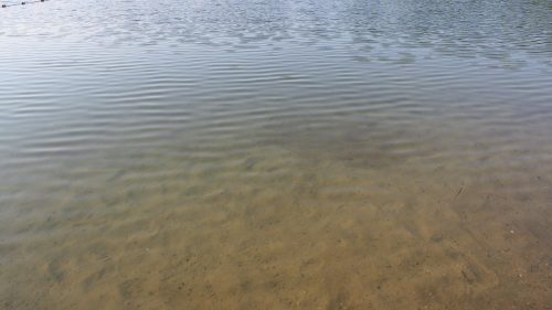Nelson Ledges Quarry Park in Garrettsville: Clearest Lake in Ohio